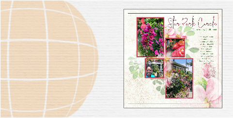 pixels2Pages | Bright Idea 360 Frame and Swap Quick Page