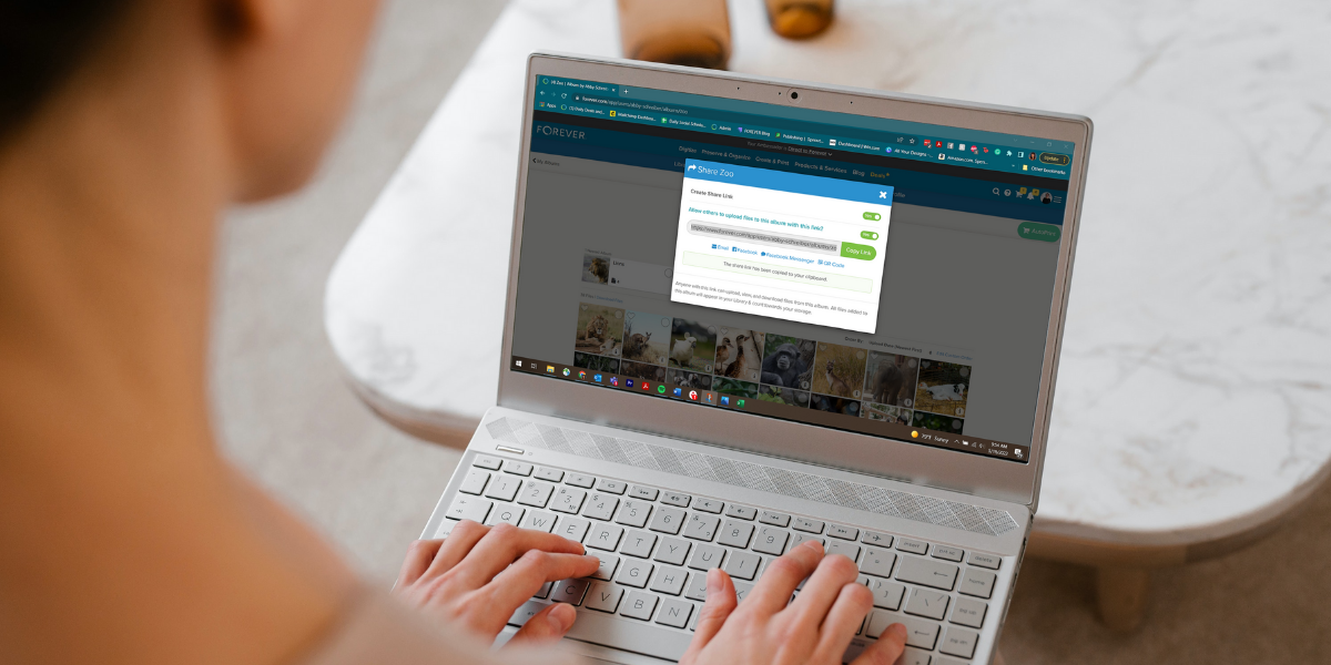 4 Facts About Collaborative Albums | FOREVER Yours