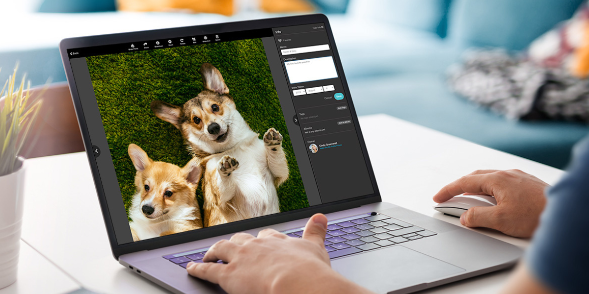 Why is Tagging Useful? | FOREVER Yours